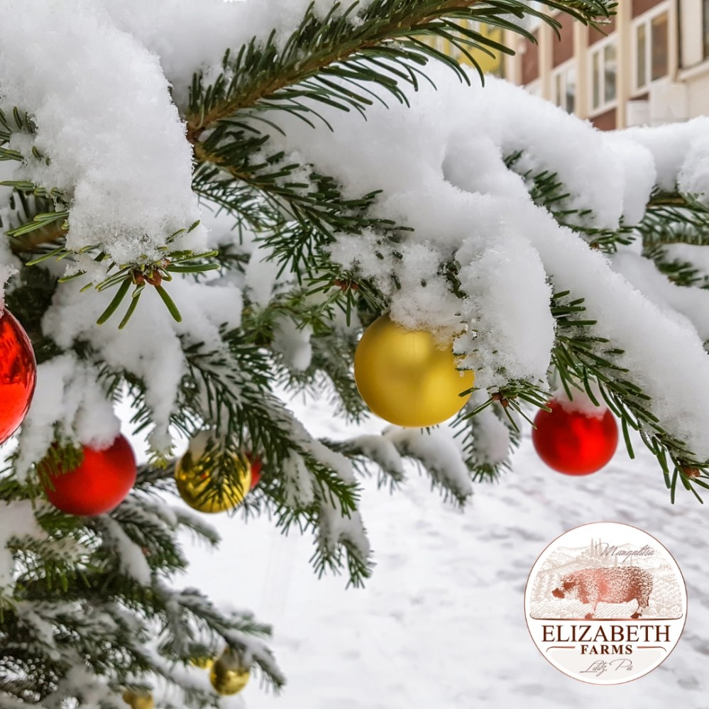 Christmas at Elizabeth Farms: A Festive Experience in Lititz ...